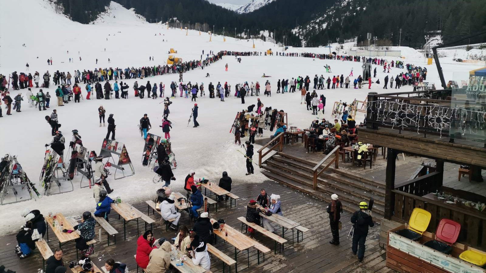 Кадър на деня за 31 декември - Investor.bg