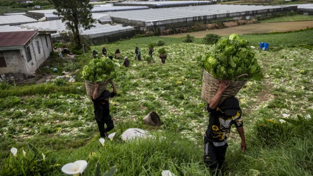 Кадър на деня за 9 ноември - Investor.bg